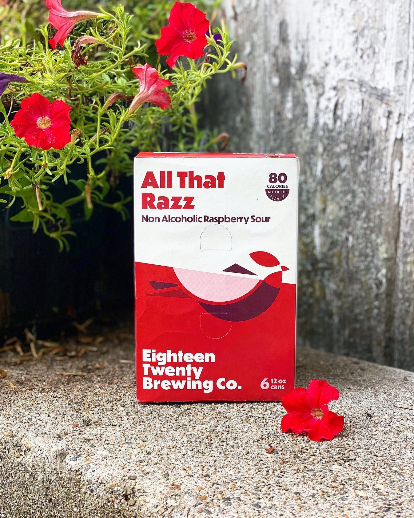 Raspberry Non-Alcoholic Sour Beer | 1820 Brewing Co.