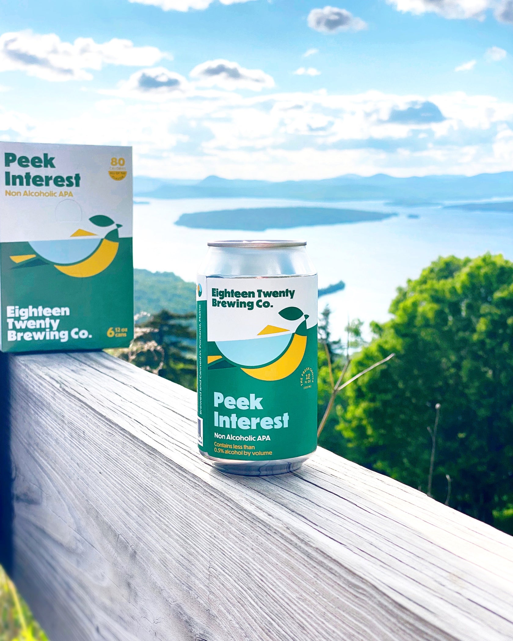 Choose Your Non-Alcoholic Beer Variety Pack | 1820 Brewing